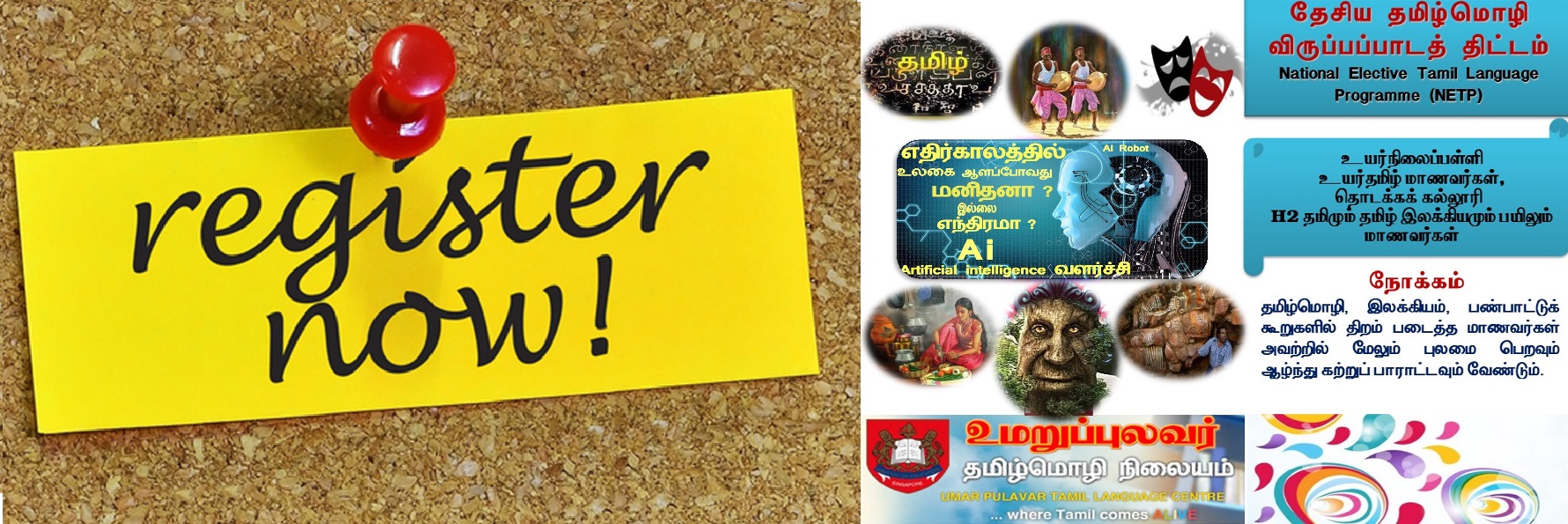 NETP Programme and Scholarship